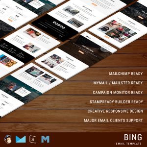 Bing Responsive Email Template | Bing Newsletter Template - Pennyblack