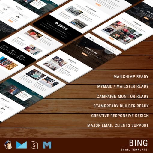 Bing Responsive Email Template | Bing Newsletter Template - Pennyblack
