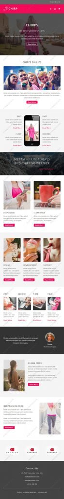 Bing Responsive Email Template | Bing Newsletter Template - Pennyblack